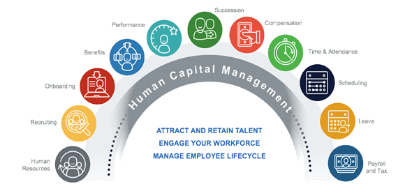 Explore All Cloud-based HCM Solutions | Inflection HR